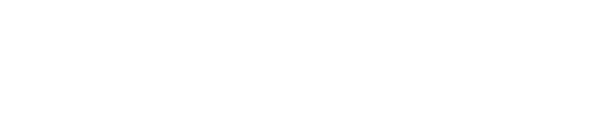 viDoc®light – viDoc