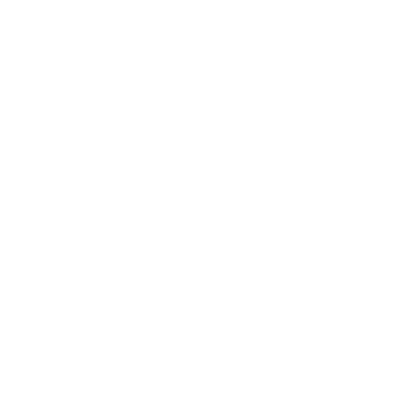 viDoc – smart documentation